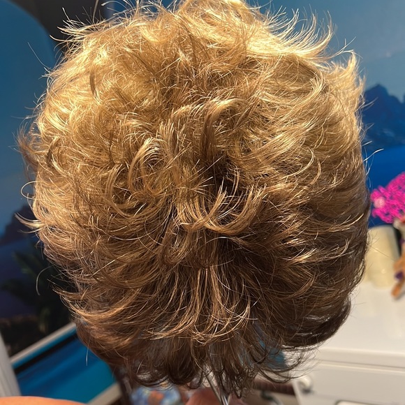 Paula Young | Hair | Paula Young Color Me Exquisite Wig Size Average ...